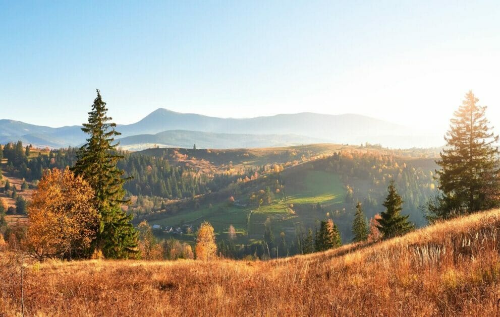 50 First Day of Fall Messages Quotes, and Greetings to Welcome the ...
